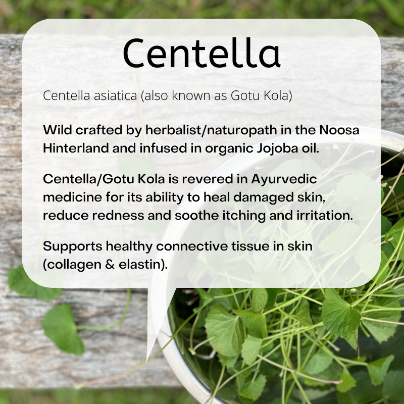 Centella Serum – Nubeean Noosa